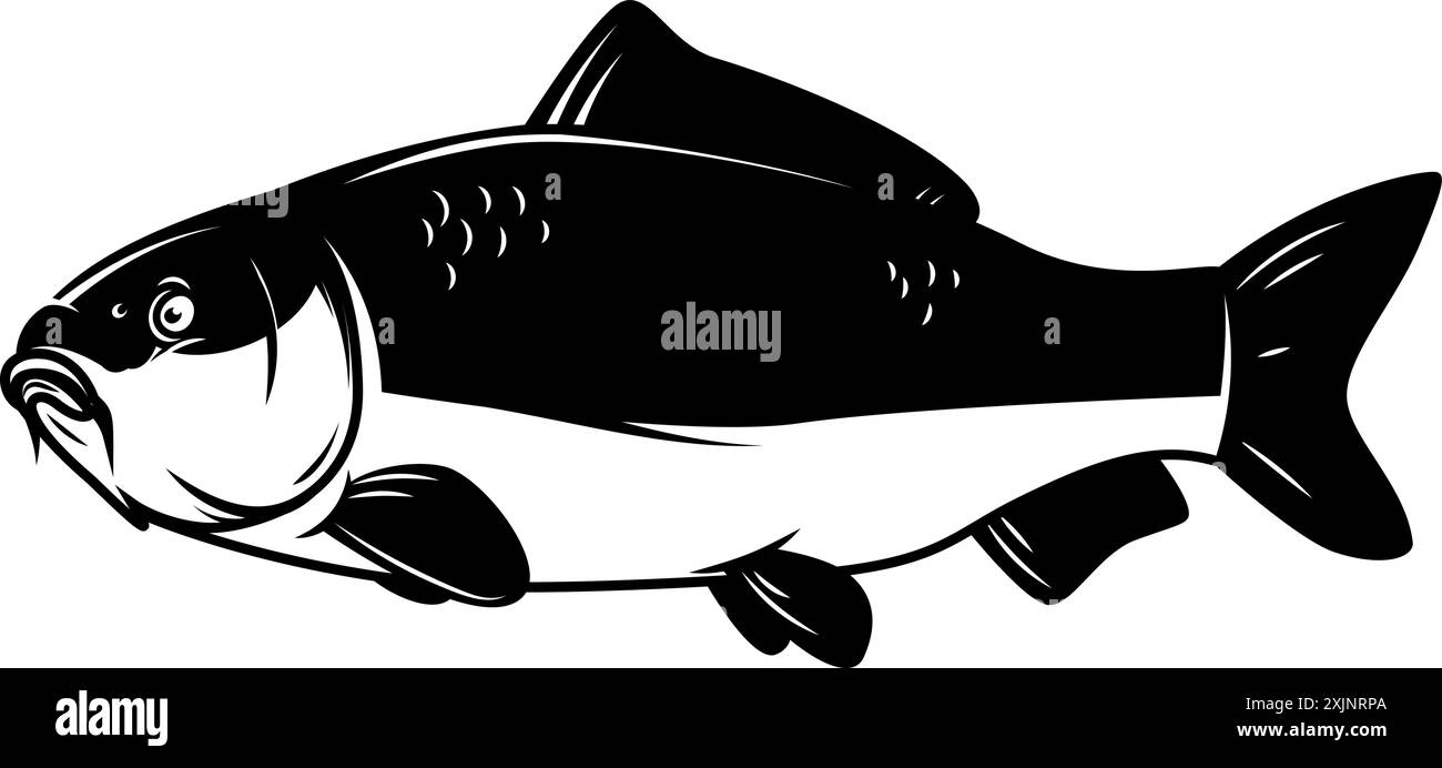 Carp fish isolated on white background. Design element for logo, emblem ...