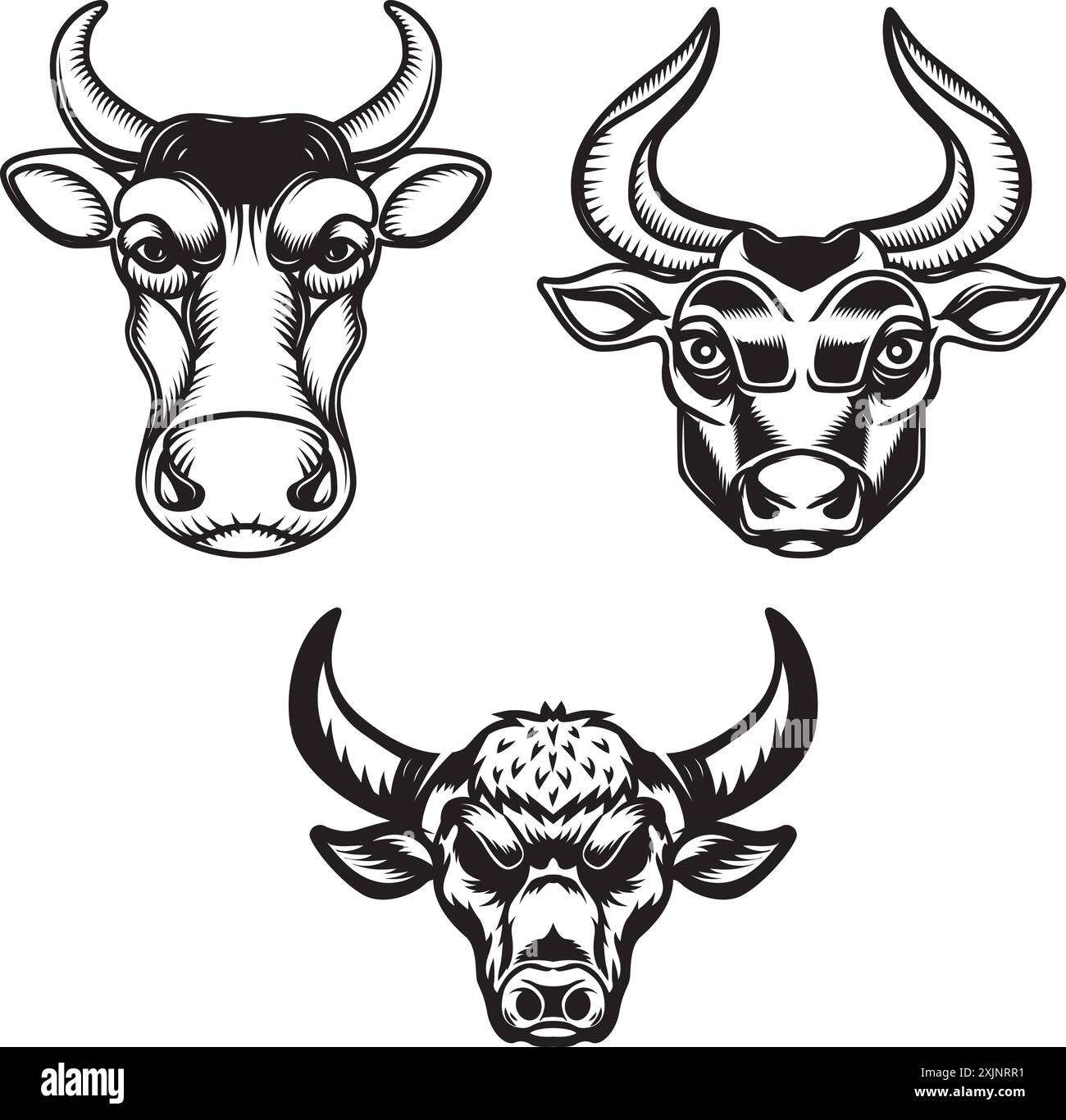 Set of hand drawn bull heads on white background. Design elements for ...