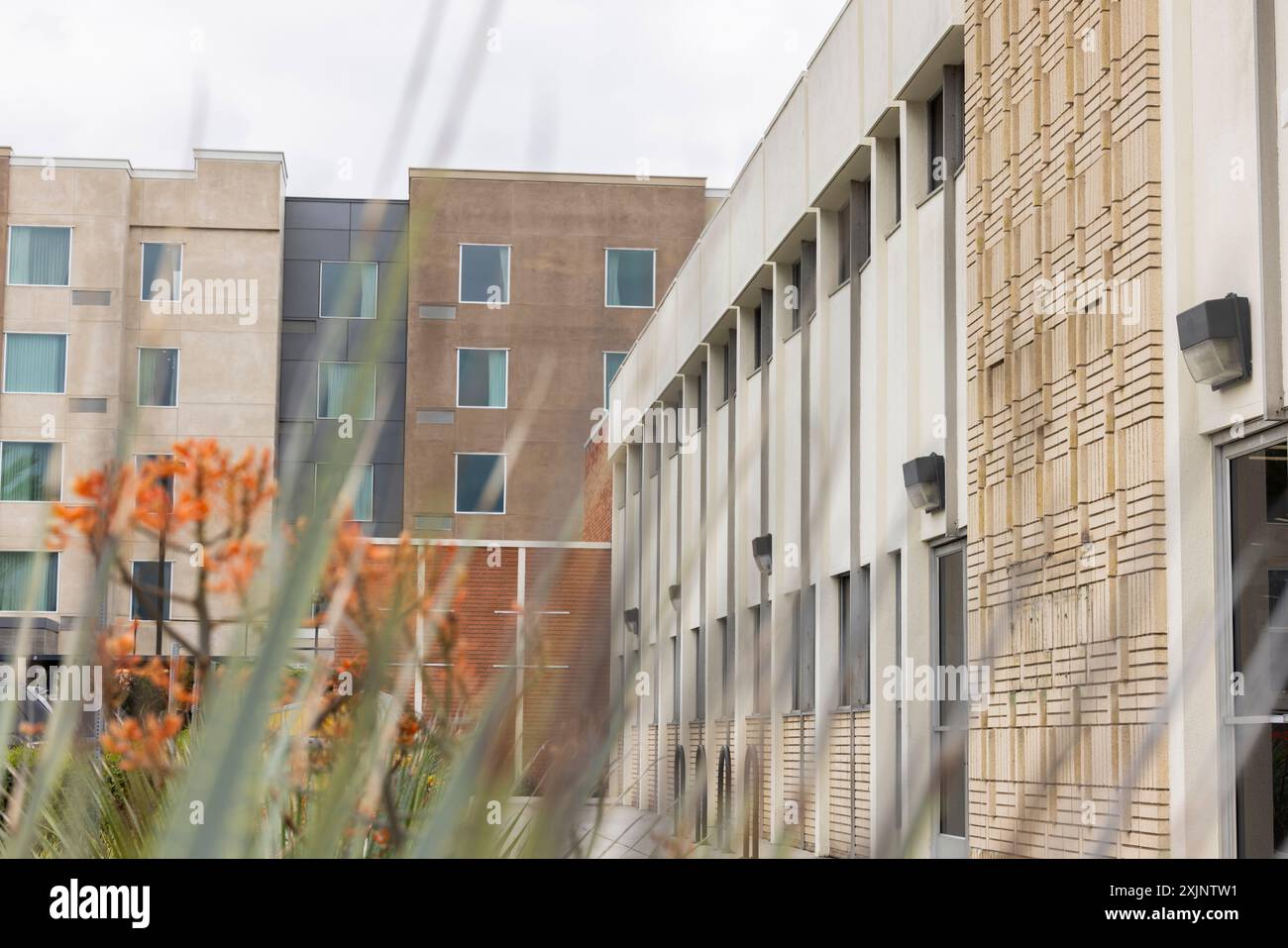 Hawthorne, California, USA - March 6, 2024: Cloudy afternoon light ...