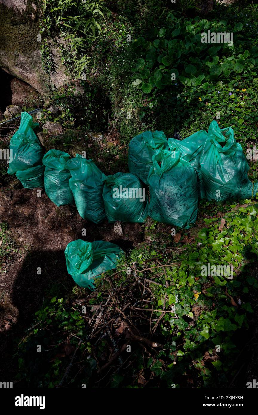 Dense vegetation portugal hi-res stock photography and images - Alamy