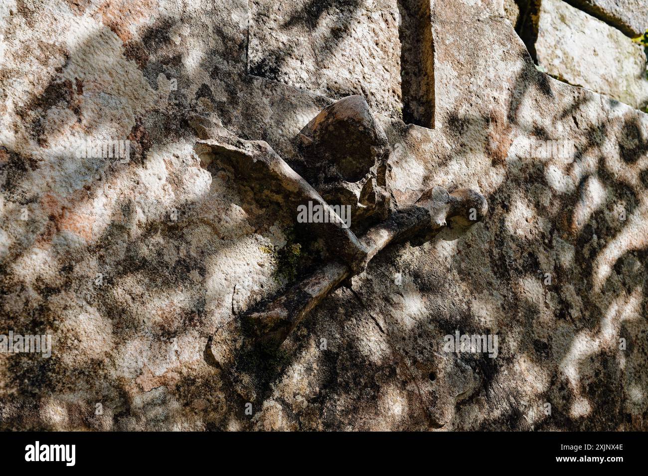 Carved skull and bones cross embedded on a stone wall Stock Photo - Alamy