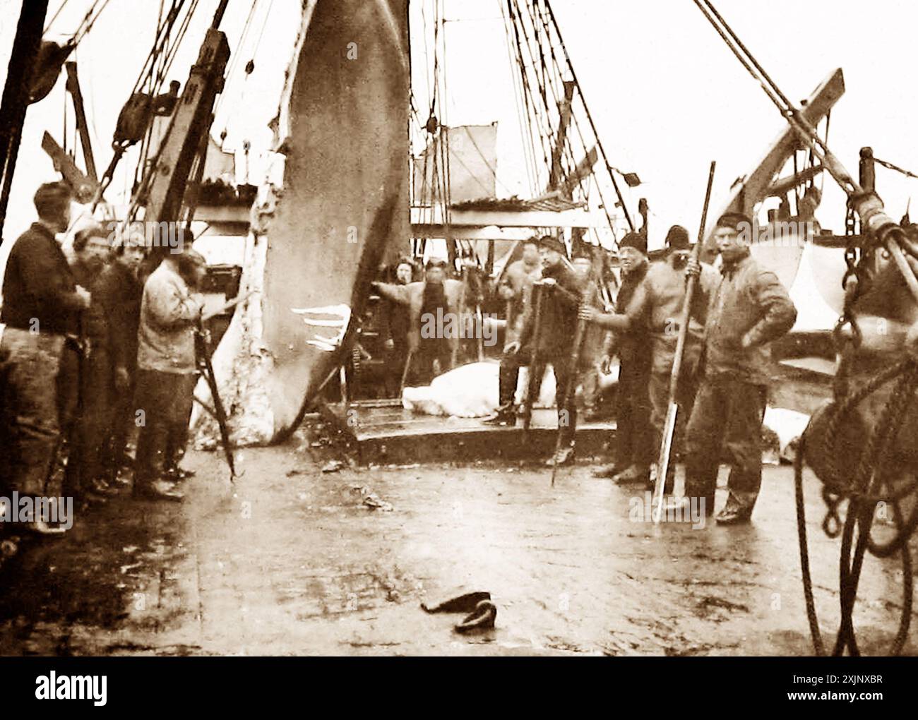 A whaling ship from Dundee, Scotland, in Greenland in 1890 Stock Photo ...