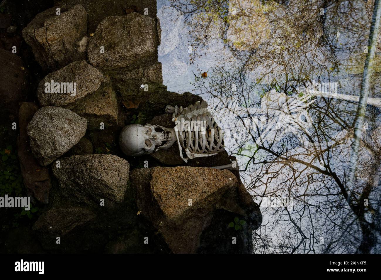 A skeleton lies among rocks reflecting the sky and trees at the Moorish ...