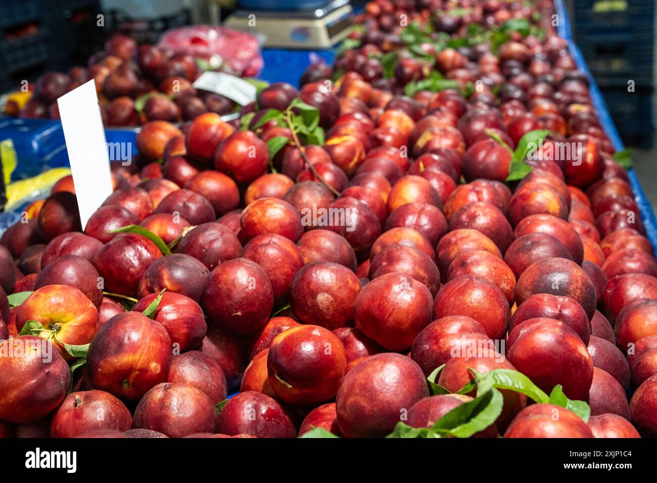Red nectarine fruits on the market stall Stock Photo - Alamy