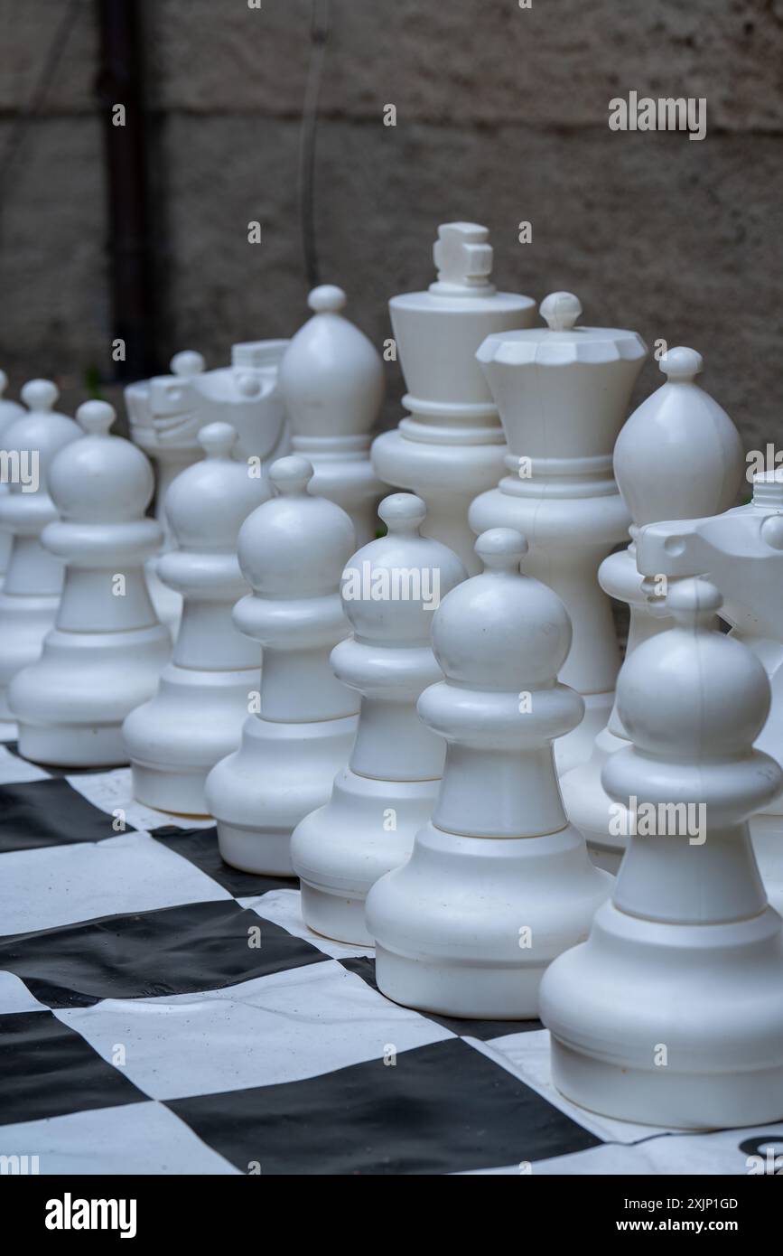 Large street chess, only white pieces against the background of a stone ...
