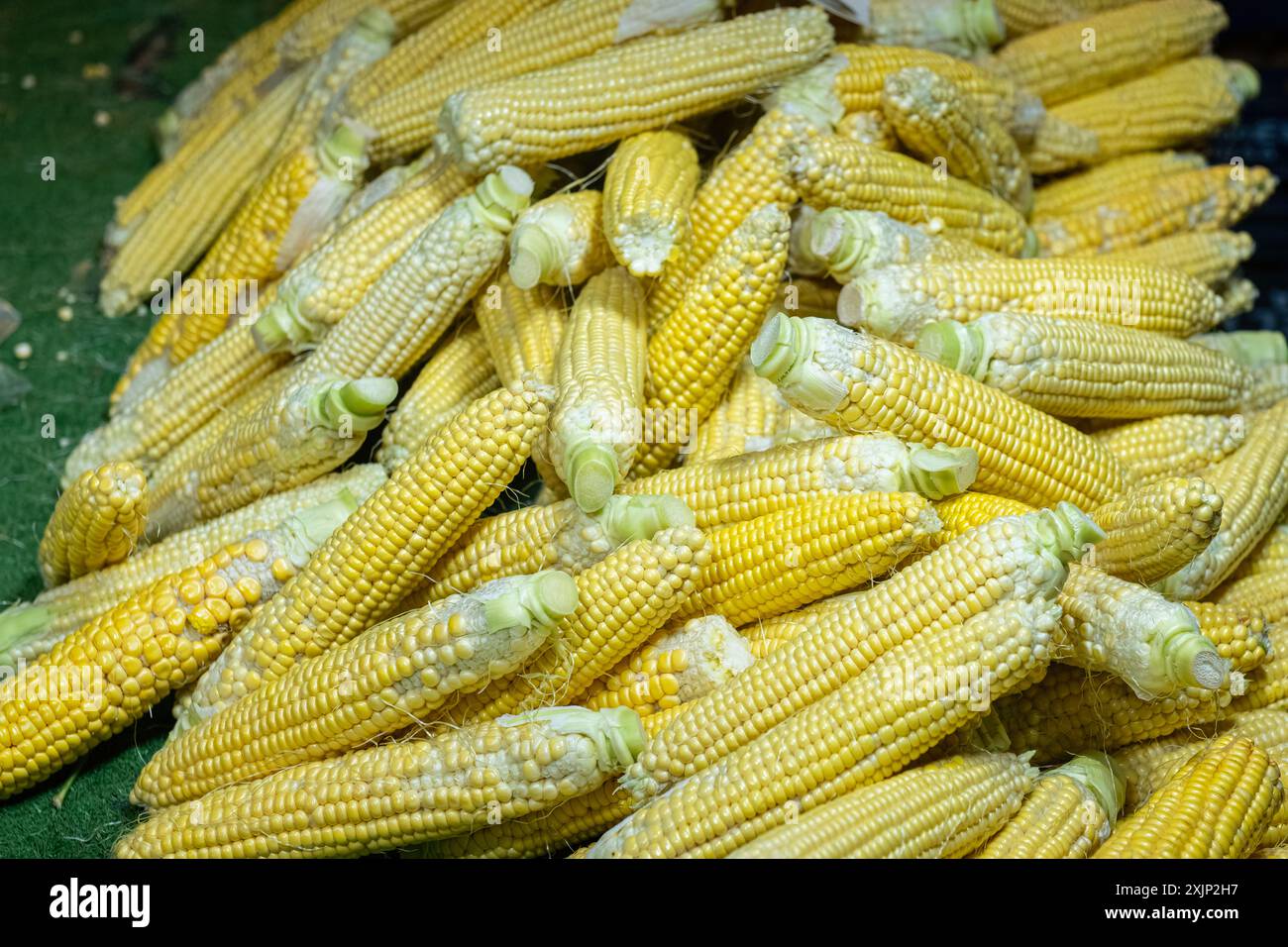 Corn cobs on sale hi-res stock photography and images - Alamy