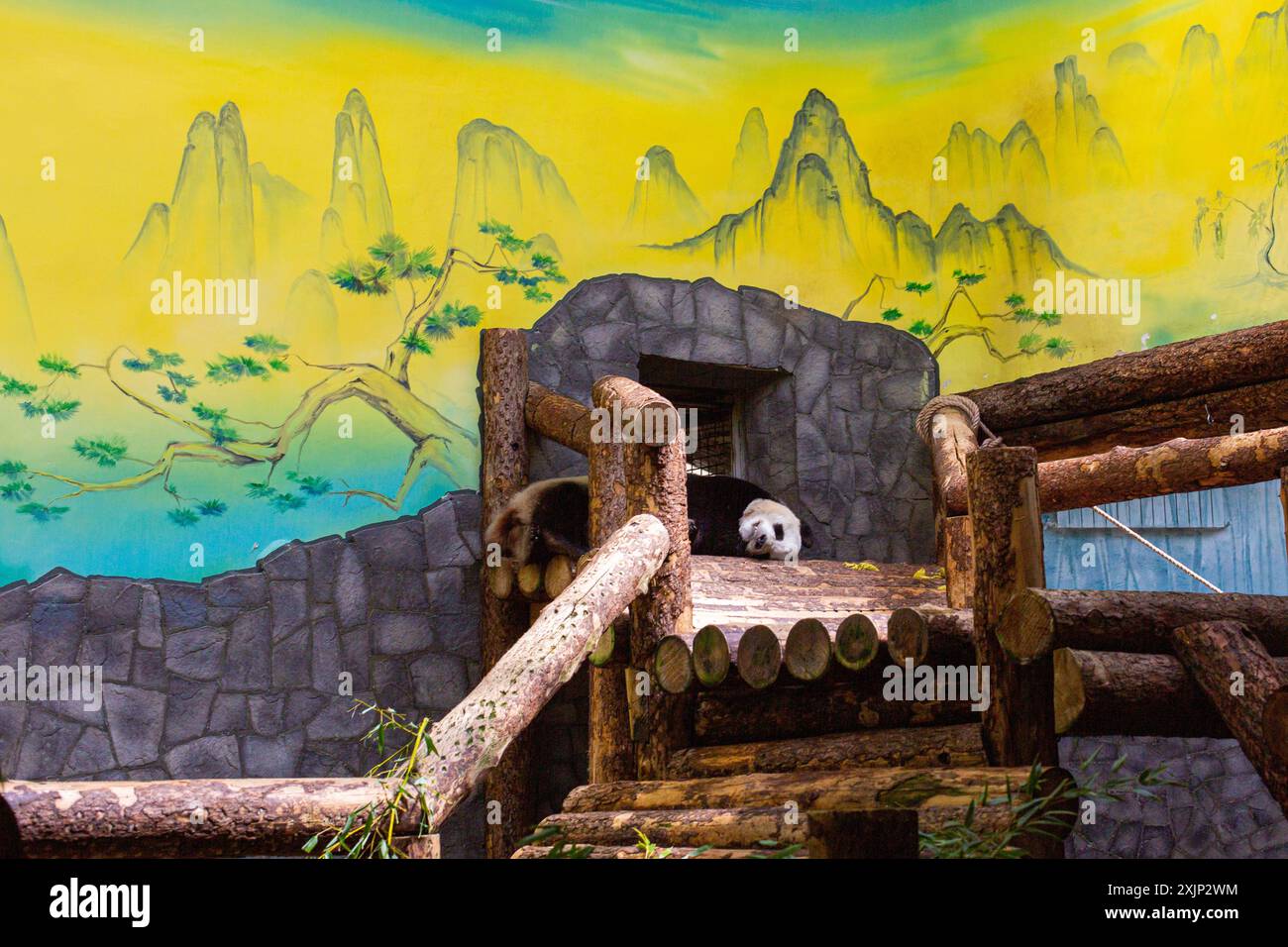 Panda sleep On Rock In Zoo Stock Photo - Alamy