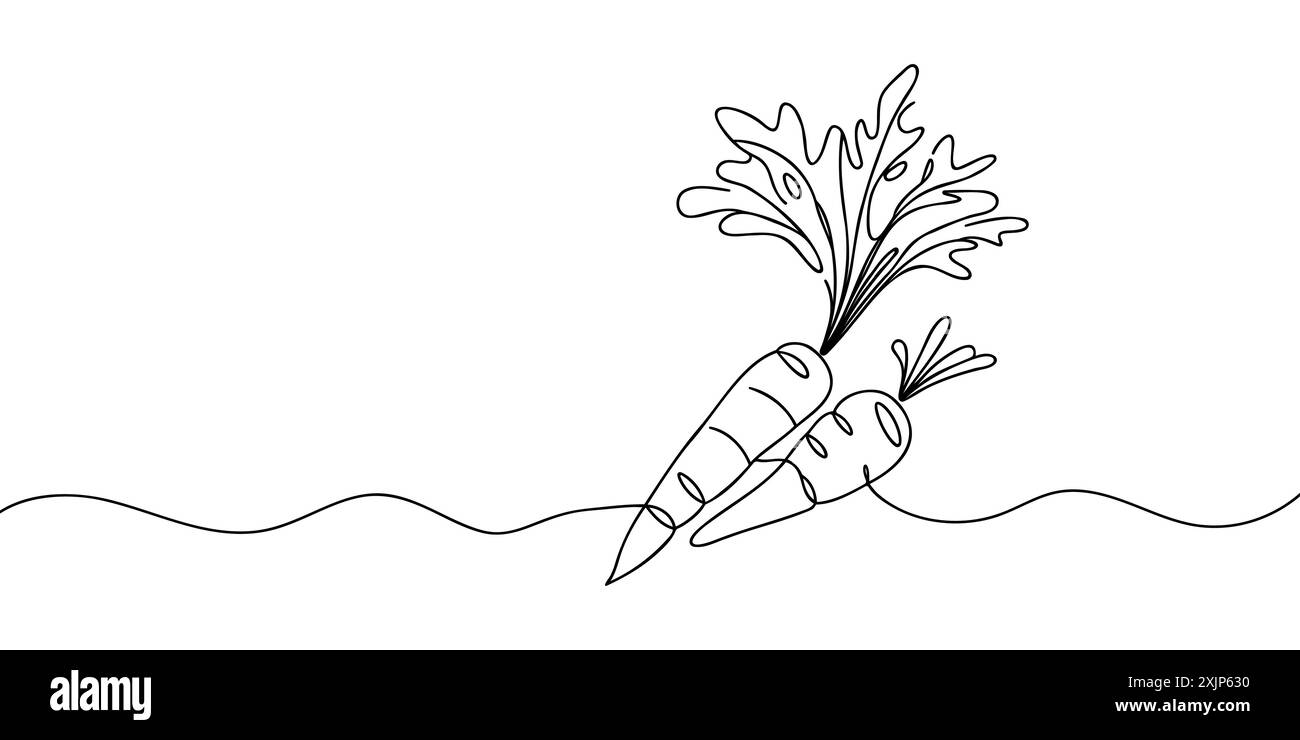 Carrot vegetable in continuous line art drawing style. Growing carrot ...