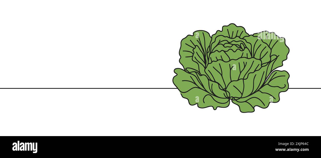 Head lettuce in continuous line art drawing style. Iceberg or crisp ...