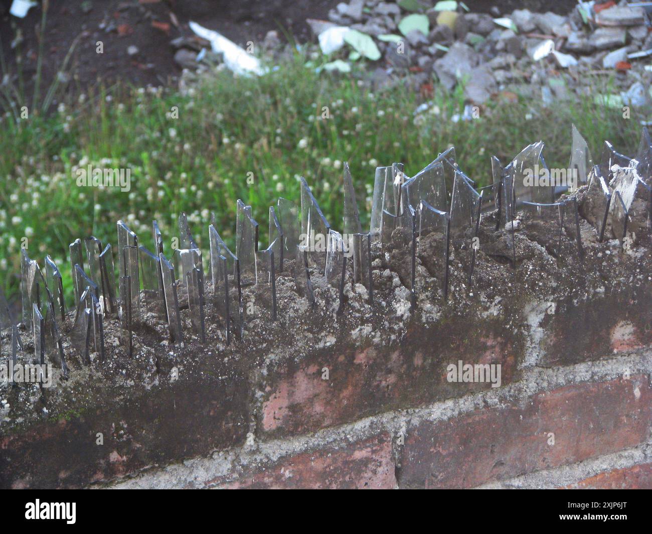 Sharp glass boundary hi-res stock photography and images - Alamy
