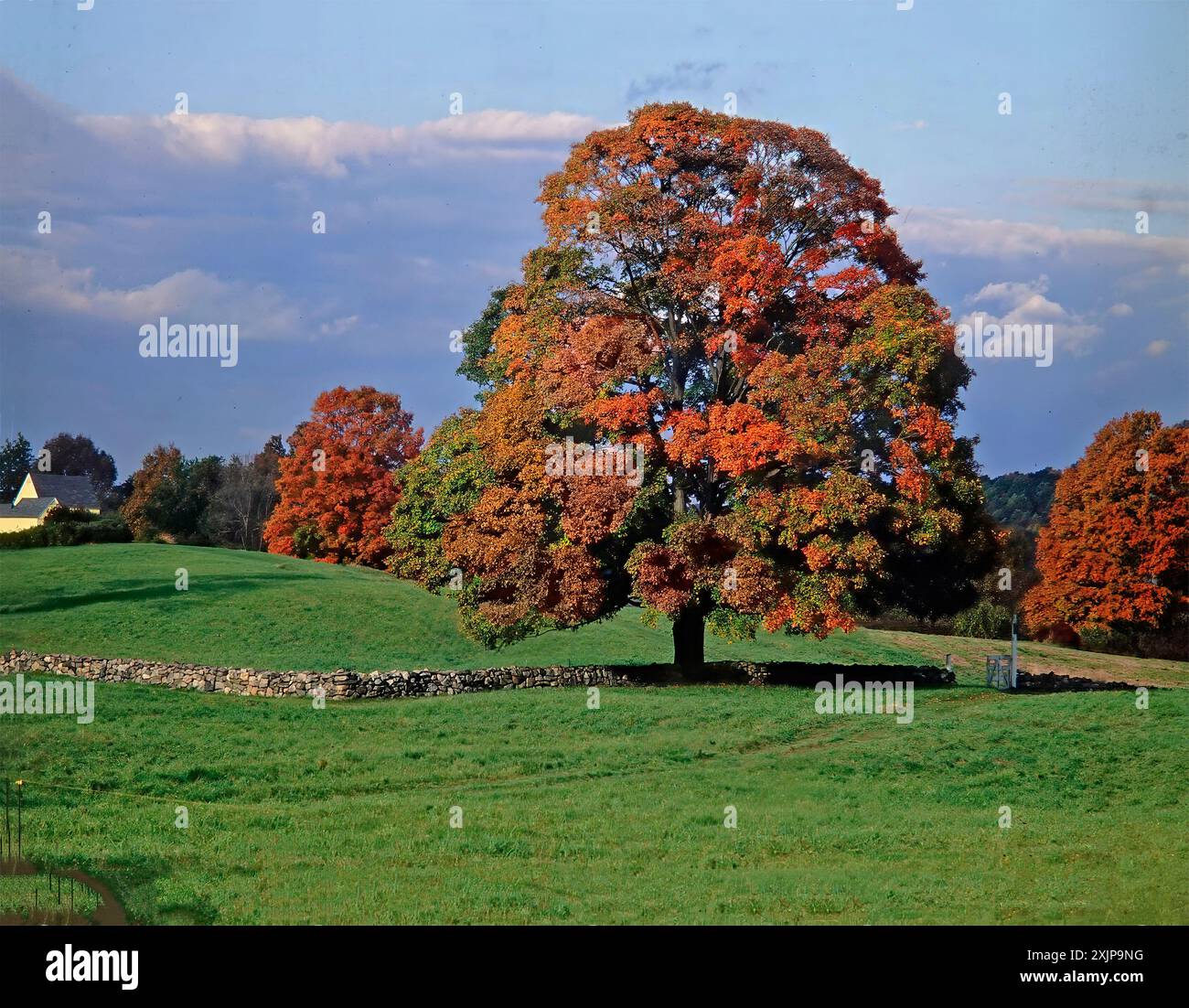 Vibrant display fall colors hi-res stock photography and images - Alamy