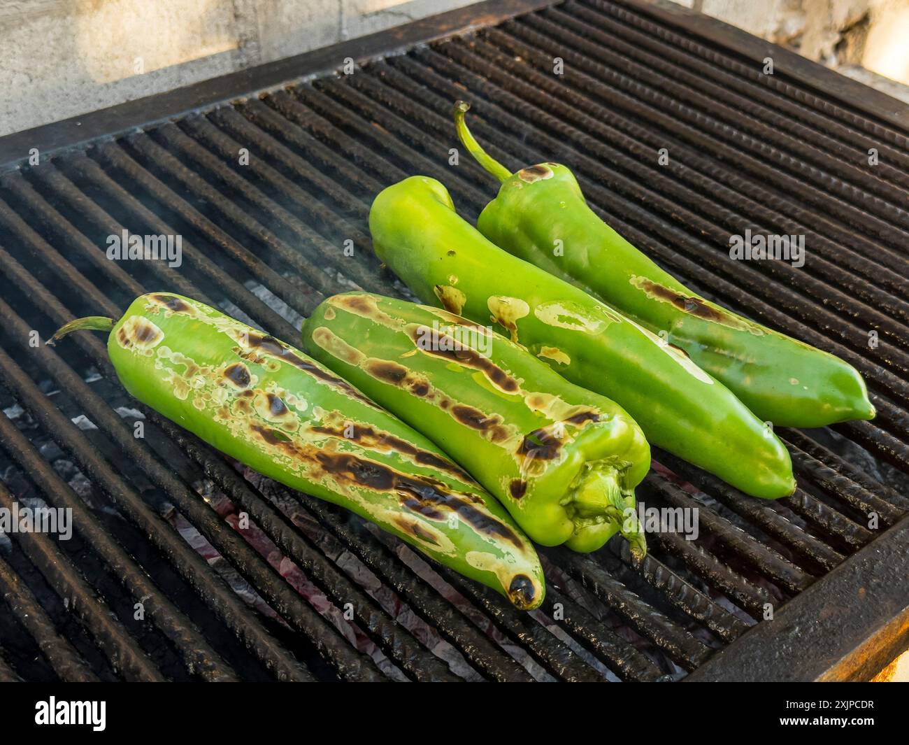 Green chile tatemado or bullfighted on the spit or grill with charcoal ...
