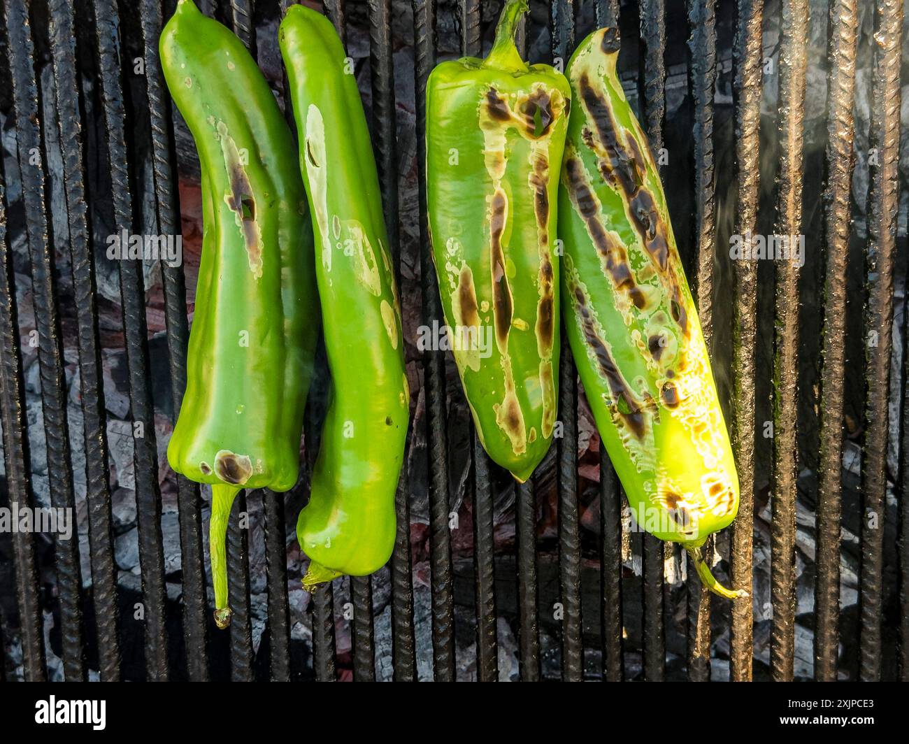 Green chile tatemado or bullfighted on the spit or grill with charcoal ...