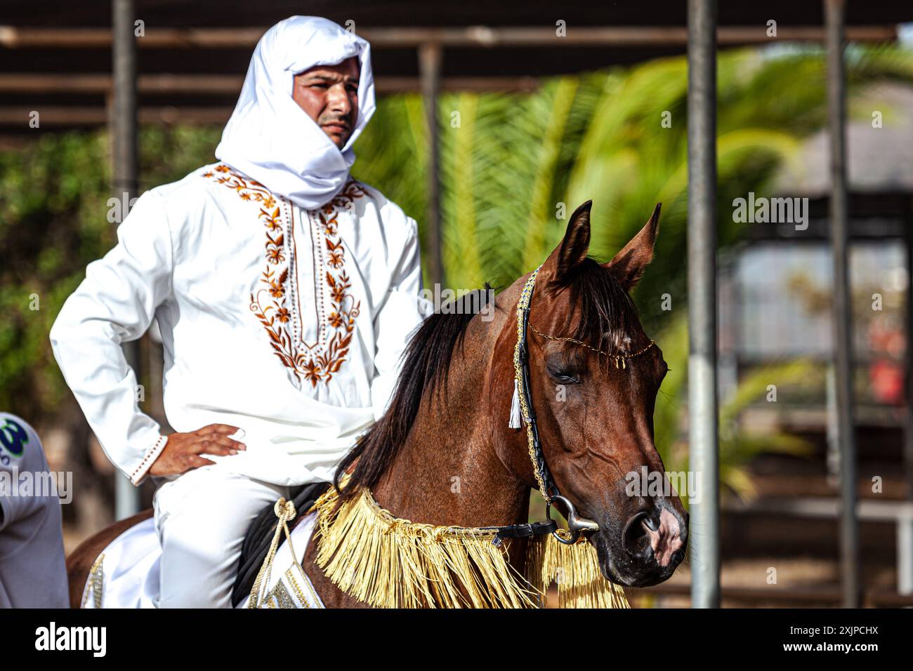 Arab horseman on horseback Stock Photo - Alamy