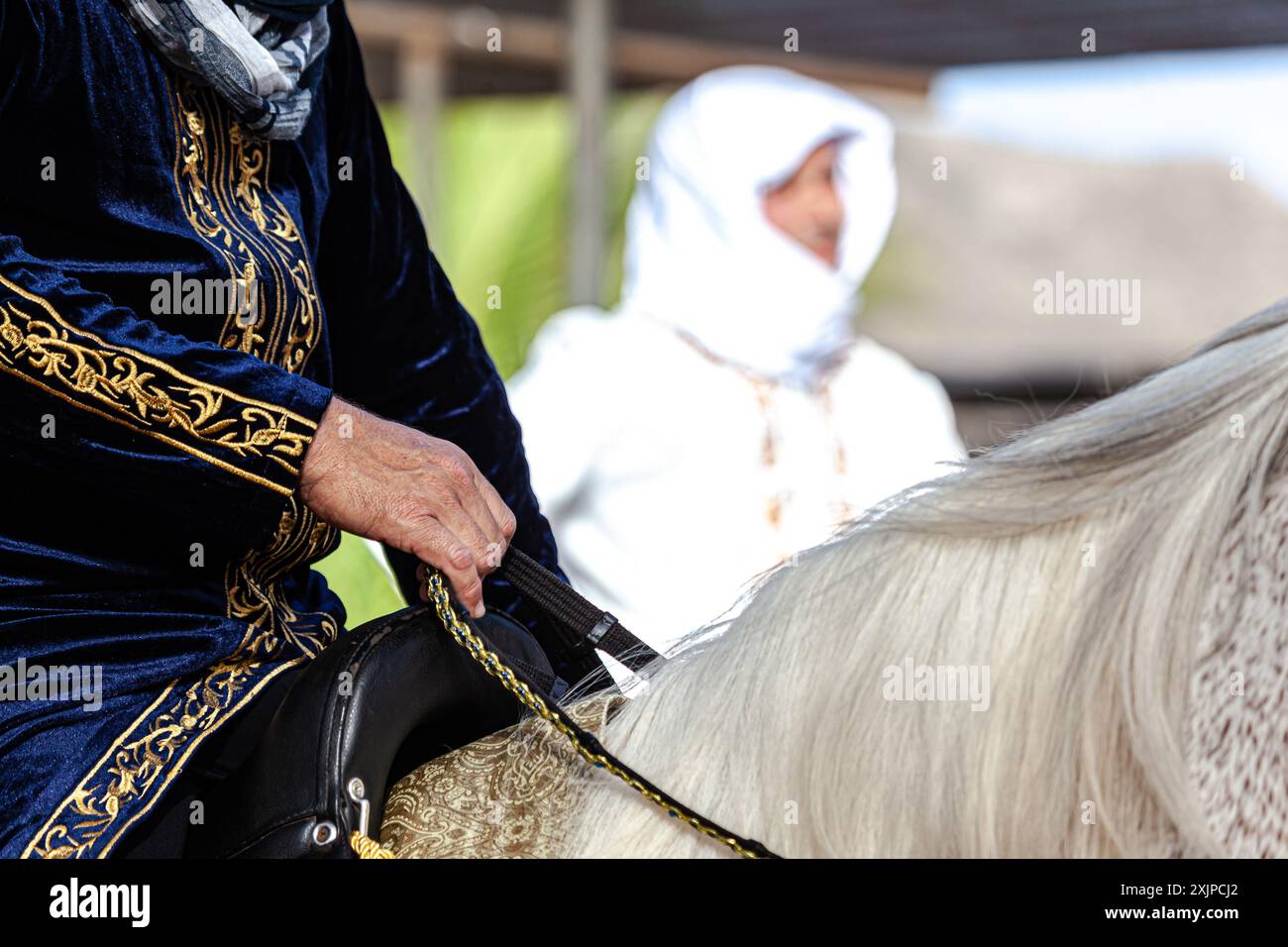 Arab horseman on horseback Stock Photo - Alamy