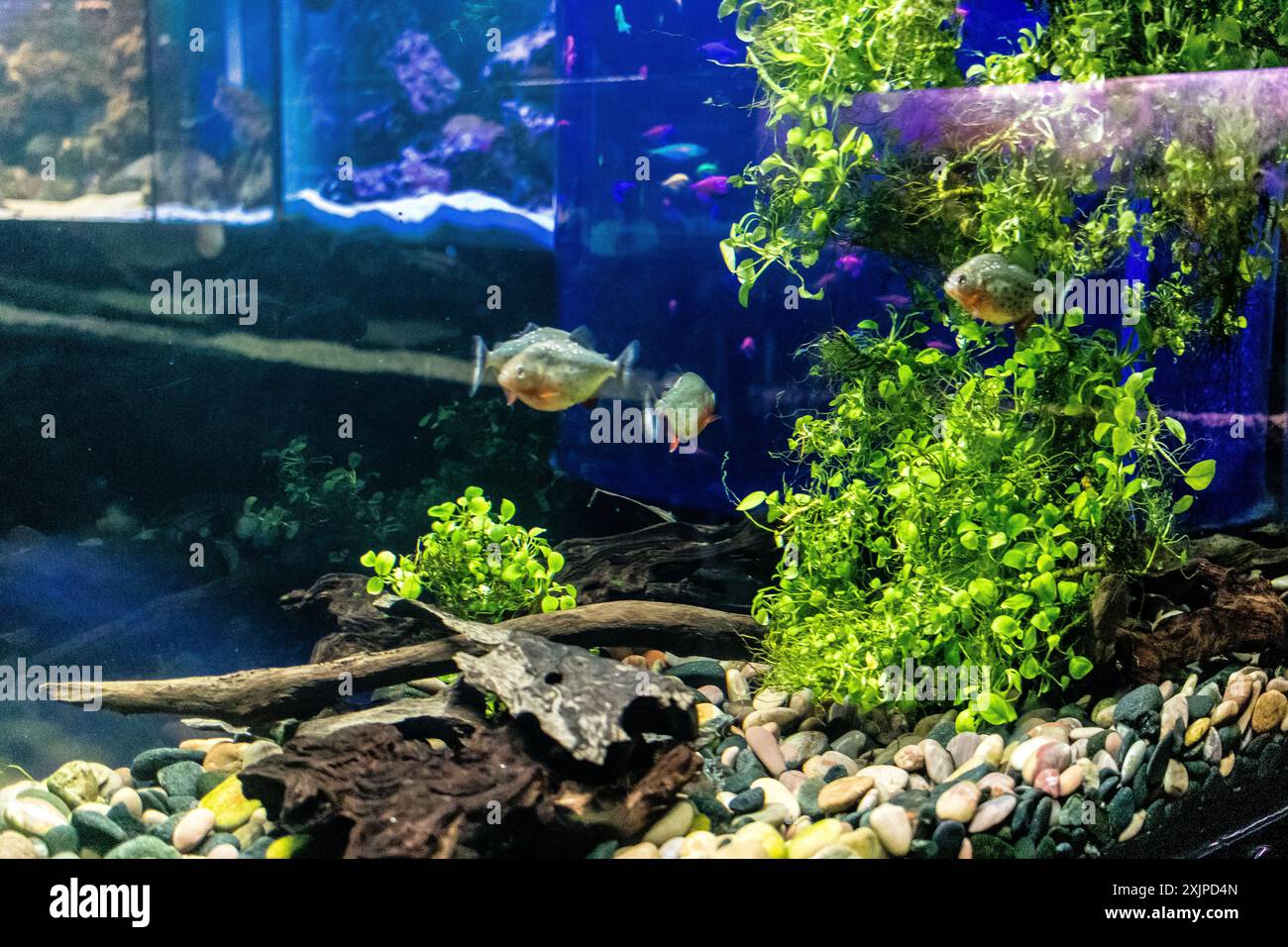 Odessa, Ukraine, July 19, 2024 Modern Odessa Aquarium with a wide ...