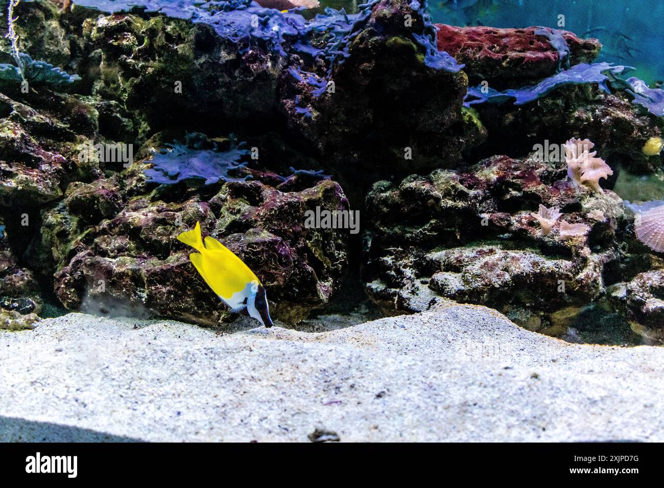 Odessa, Ukraine, July 19, 2024 Modern Odessa Aquarium with a wide ...