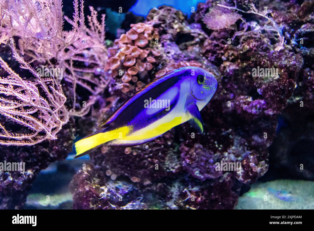 Odessa, Ukraine, July 19, 2024 Modern Odessa Aquarium with a wide ...