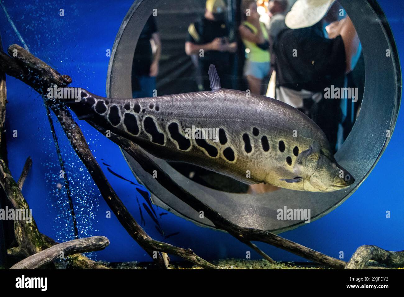 Odessa, Ukraine, July 19, 2024 Modern Odessa Aquarium with a wide ...