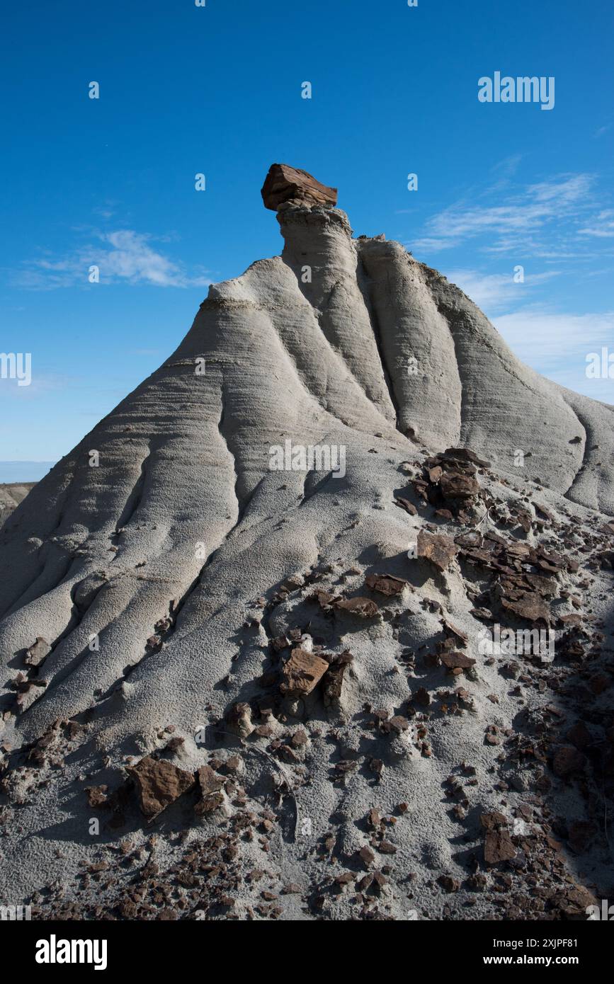 Dinosaur Provincial Park in Alberta in Canada protects lots of Dinosaur ...