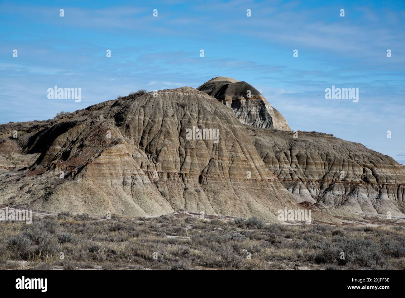 Dinosaur Provincial Park in Alberta in Canada protects lots of Dinosaur ...