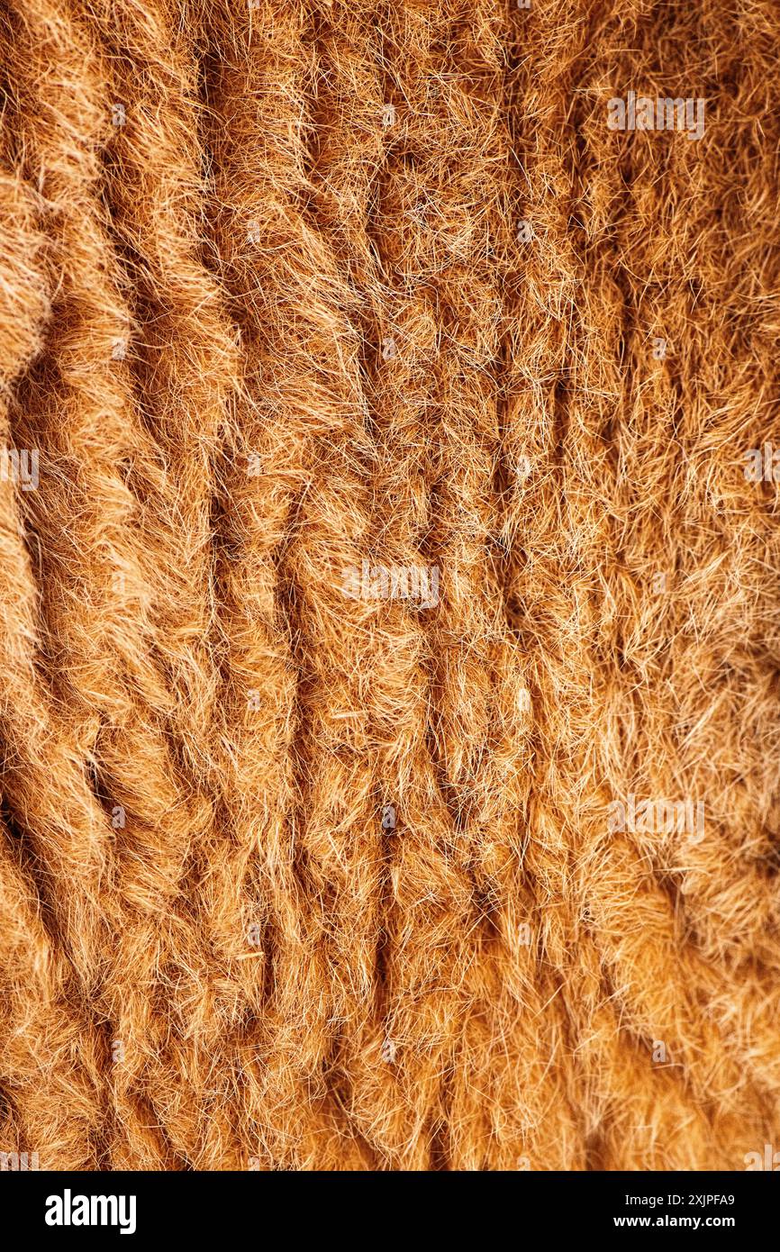 Detailed macro photo of a Red Kangaroos fur. The red kangaroo is the ...