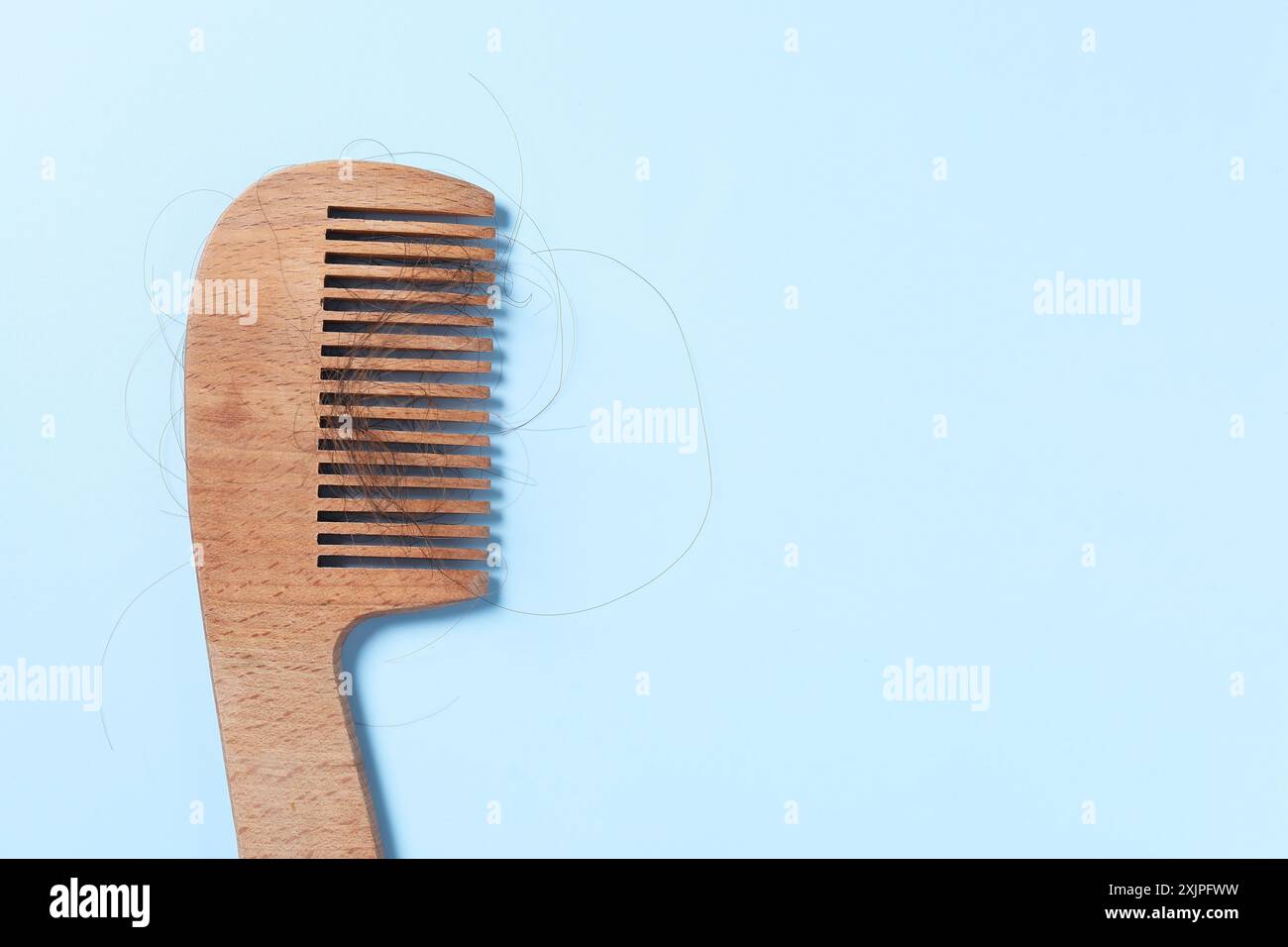 Wooden comb with lost hair on light blue background, top view. Space ...