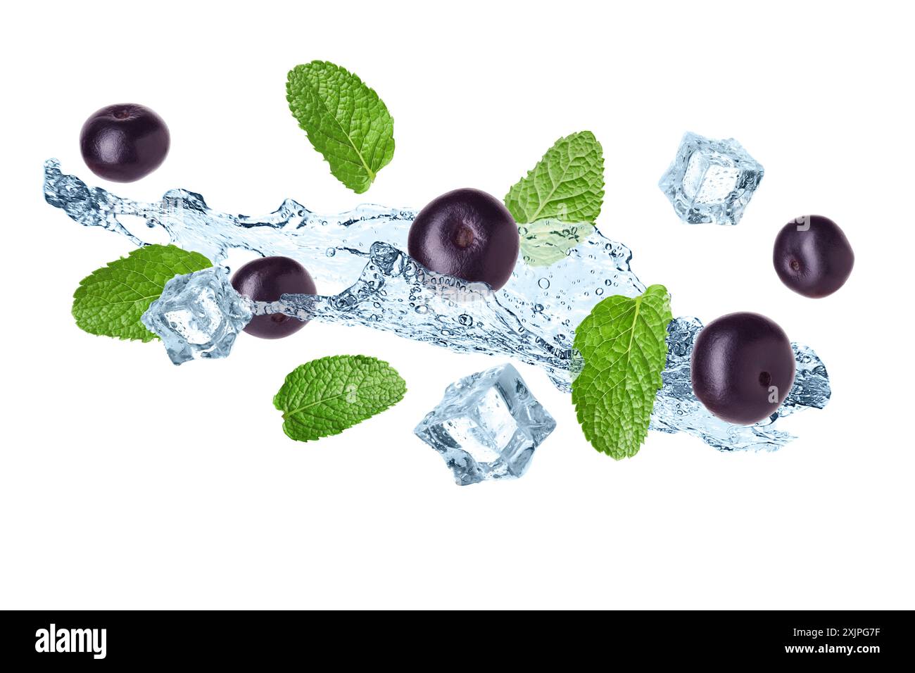 Acai berries, mint leaves, ice cubes and splash of water in air on ...
