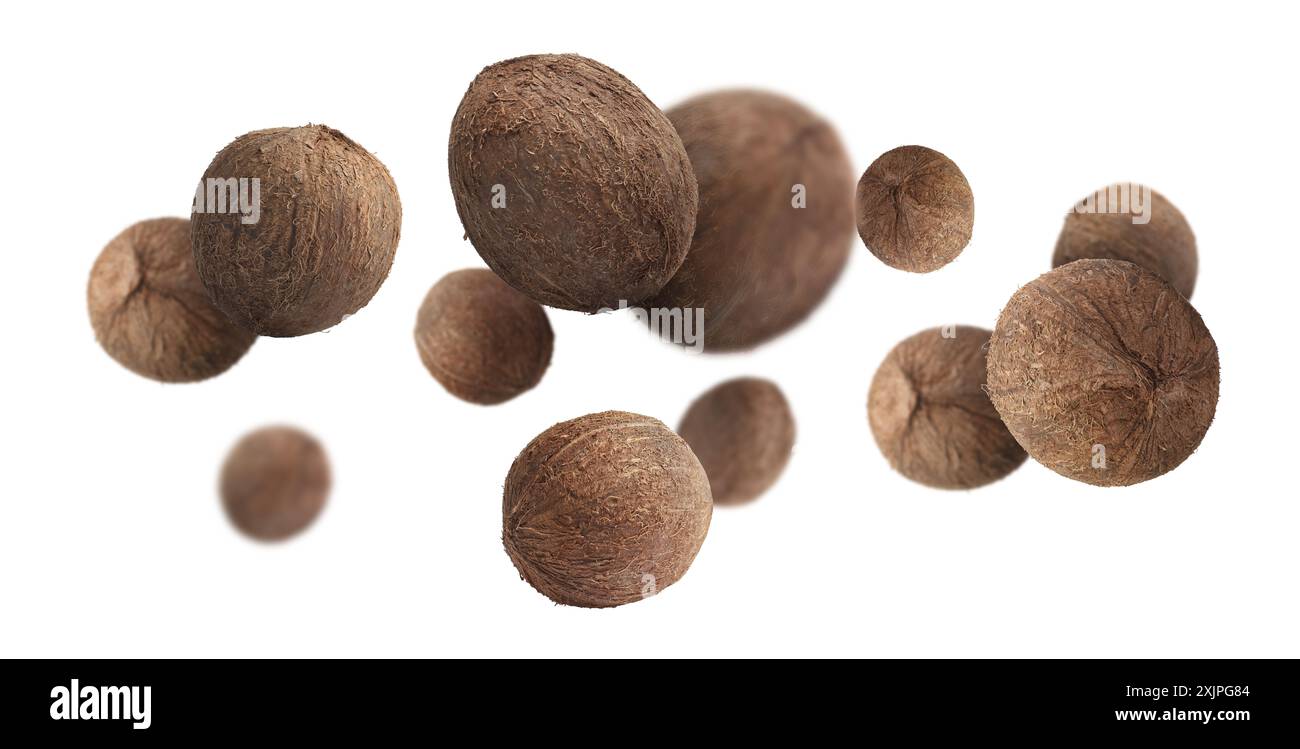 Many coconuts in air on white background Stock Photo - Alamy