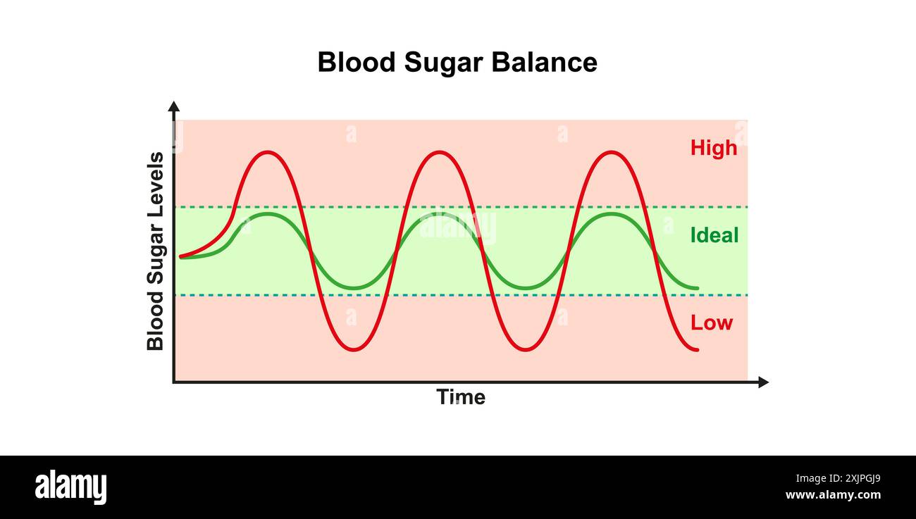 Blood sugar balance, illustration Stock Photo - Alamy