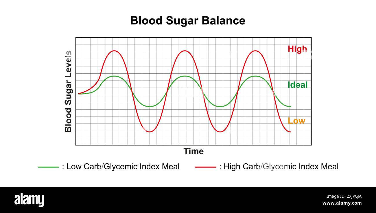 Blood sugar balance, illustration Stock Photo - Alamy