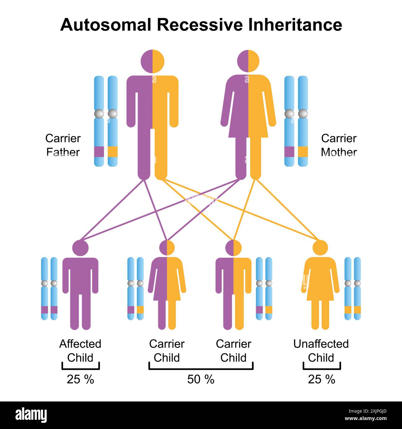 Inheritance text hi-res stock photography and images - Alamy