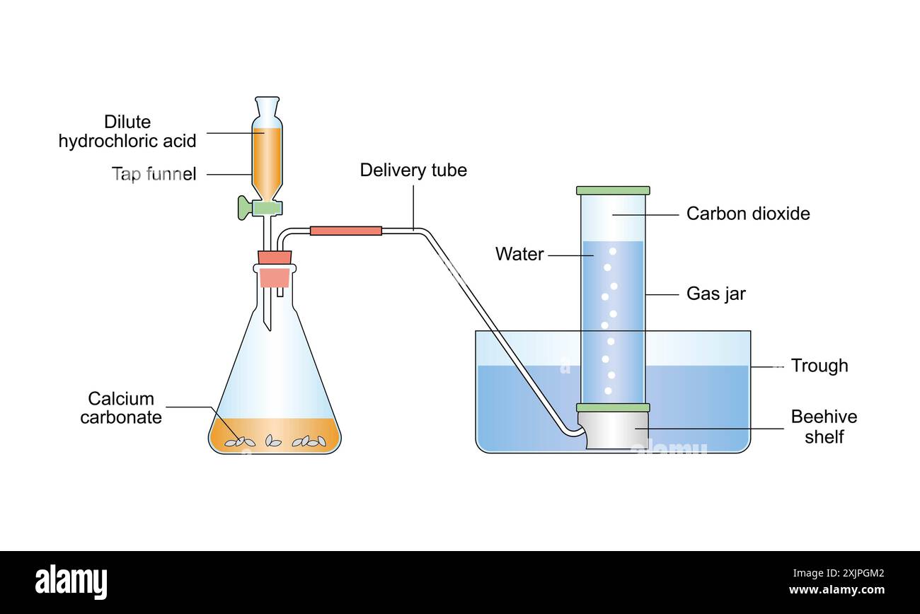 Carbon dioxide preparation, illustration Stock Photo - Alamy