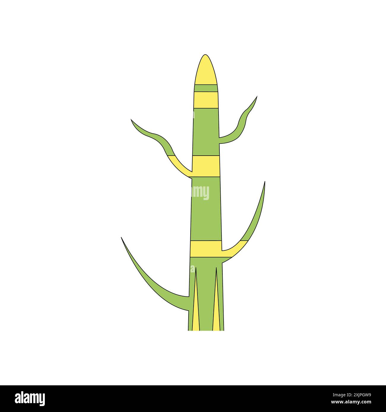 Green body structure Cut Out Stock Images & Pictures - Alamy