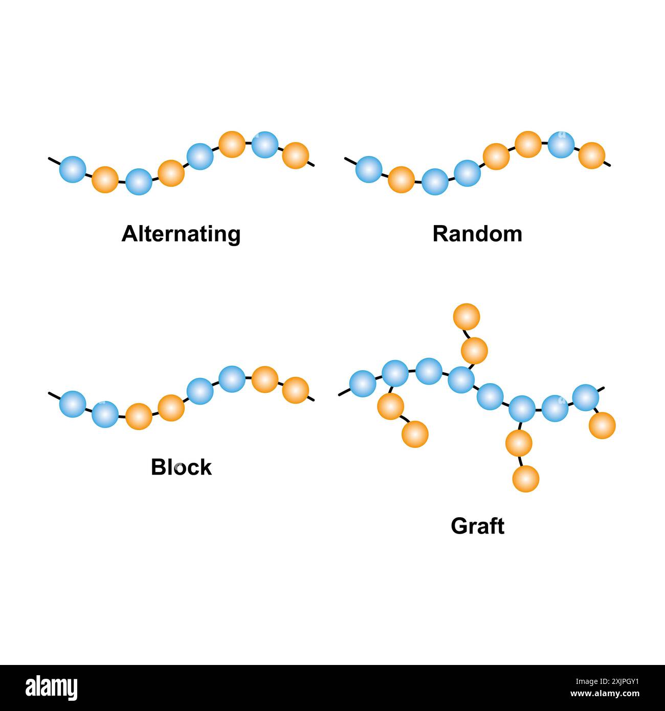 Copolymer types, illustration Stock Photo - Alamy