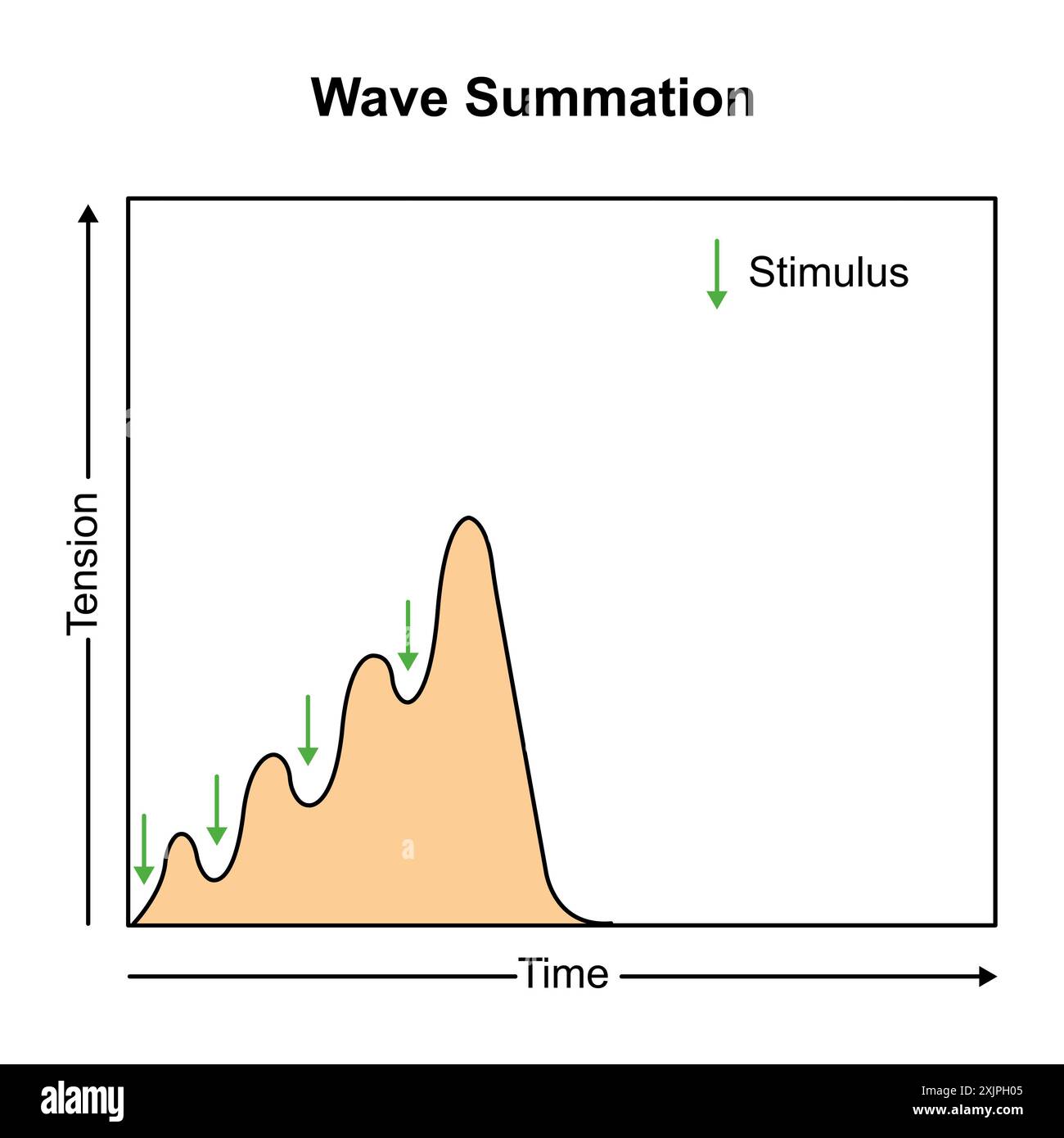 Wave summation, illustration Stock Photo - Alamy