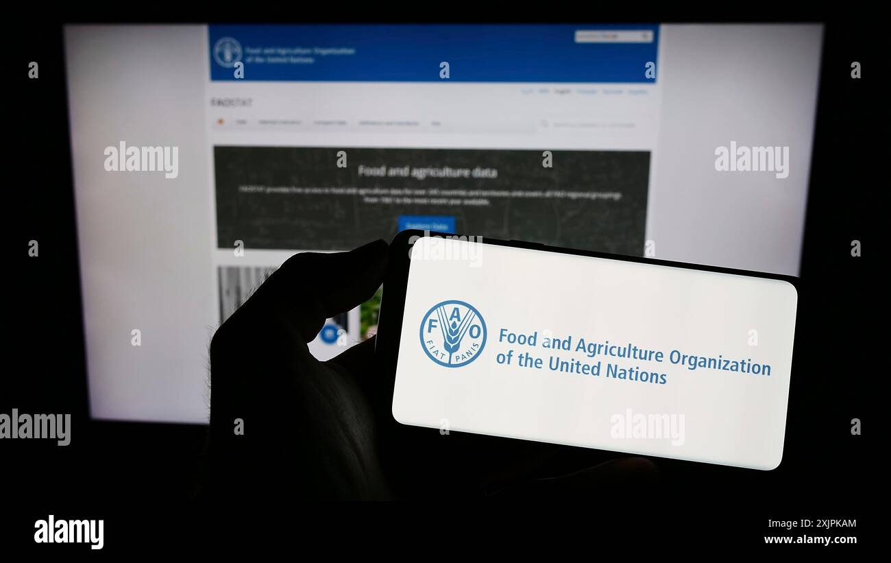 Stuttgart, Germany, 07-11-2023: Person holding mobile phone with logo of UN agency Food and ...