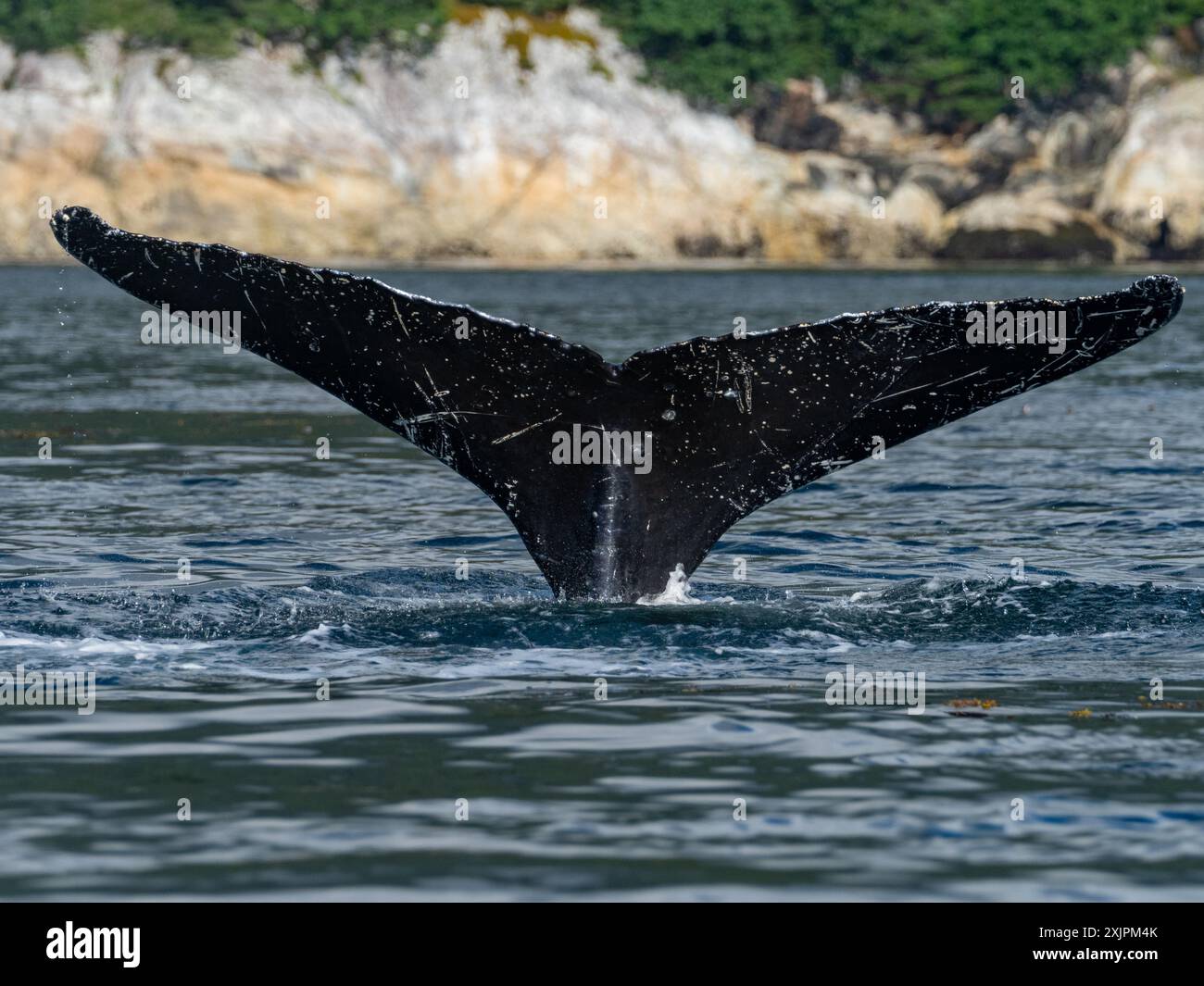 Inian islands, alaska hi-res stock photography and images - Alamy