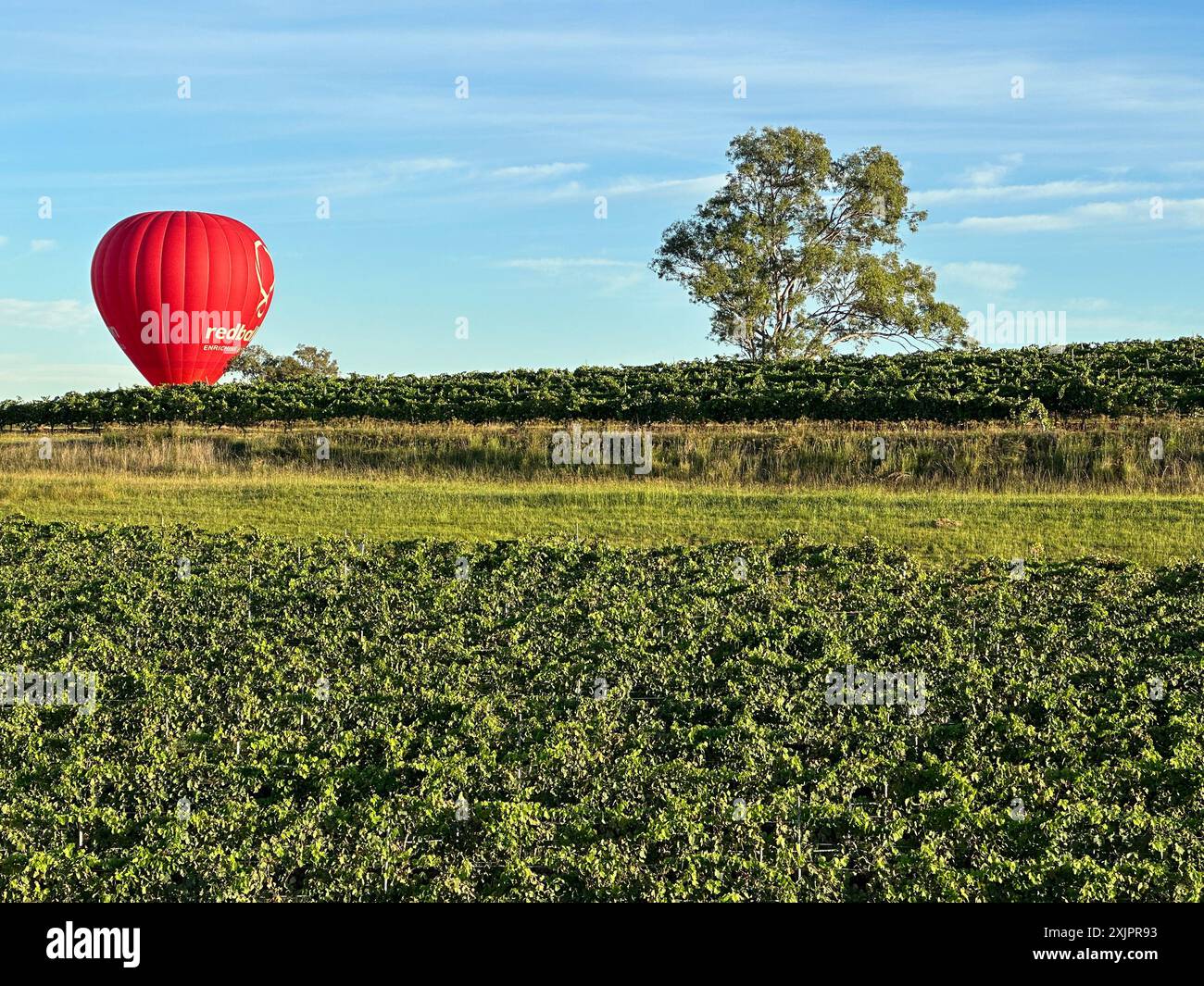 Hot air balloon the hunter valley hi-res stock photography and images ...