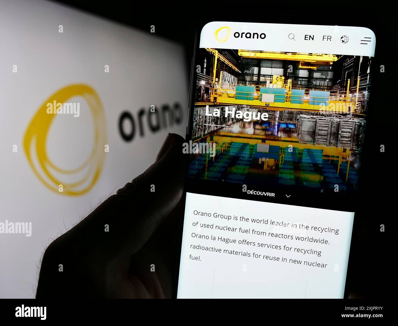 Stuttgart, Germany, 09-01-2023: Person holding cellphone with webpage ...