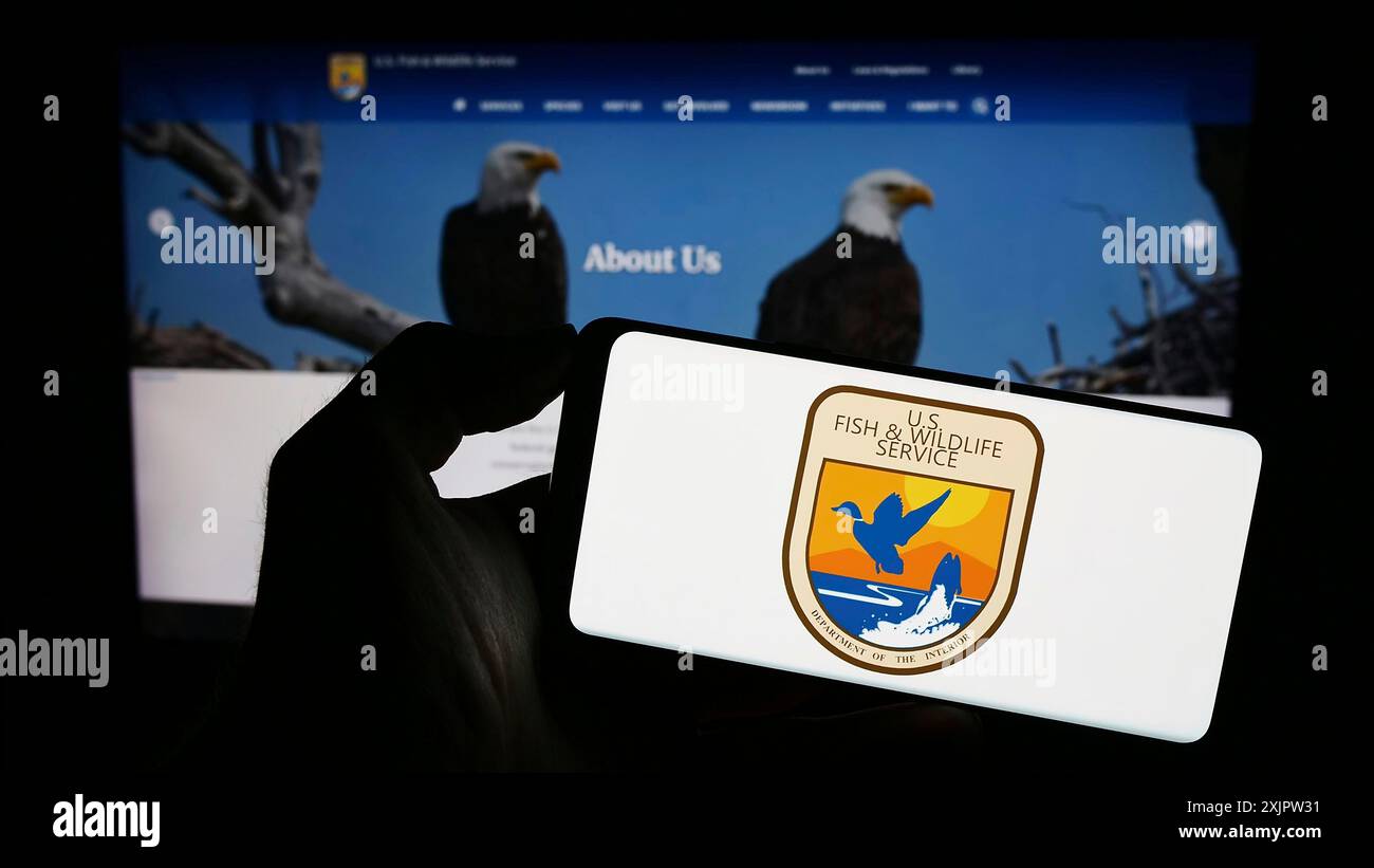 Stuttgart, Germany, 09-17-2023: Person holding mobile phone with seal ...