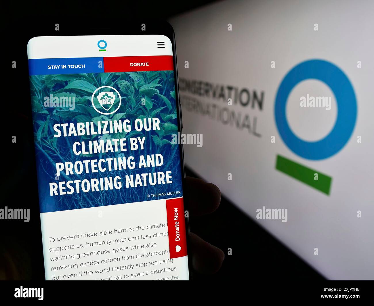 Stuttgart, Germany, 10-11-2023: Person holding smartphone with web page of environmental ...