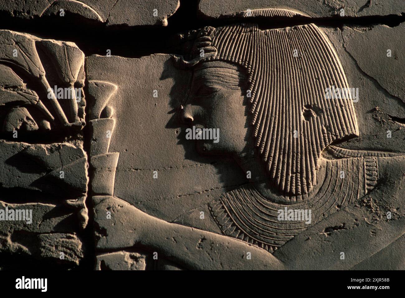 Wall relief of Sethos I in the Great Hall of Columns in the temple ...