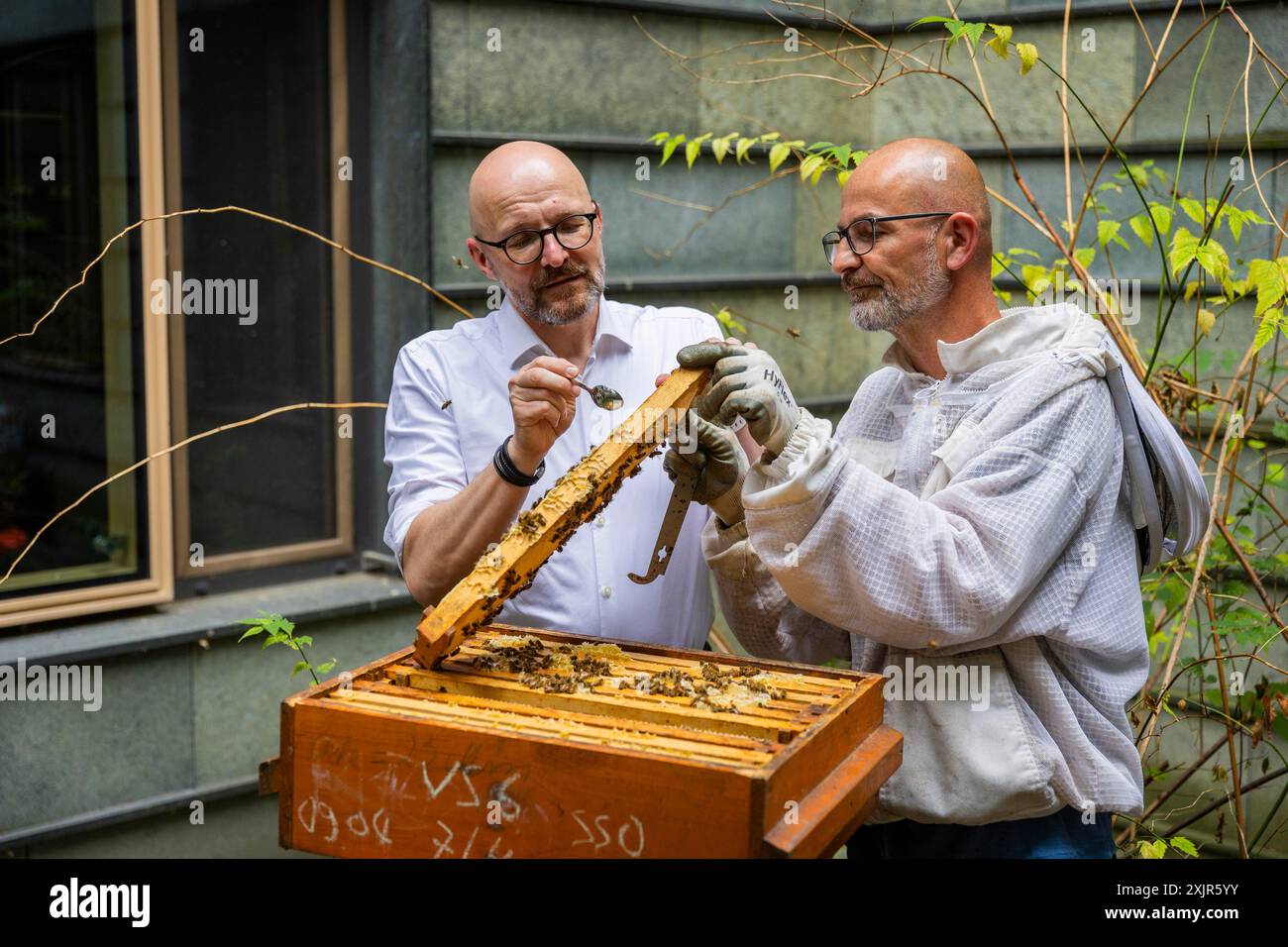 Thomas bees house hi-res stock photography and images - Alamy