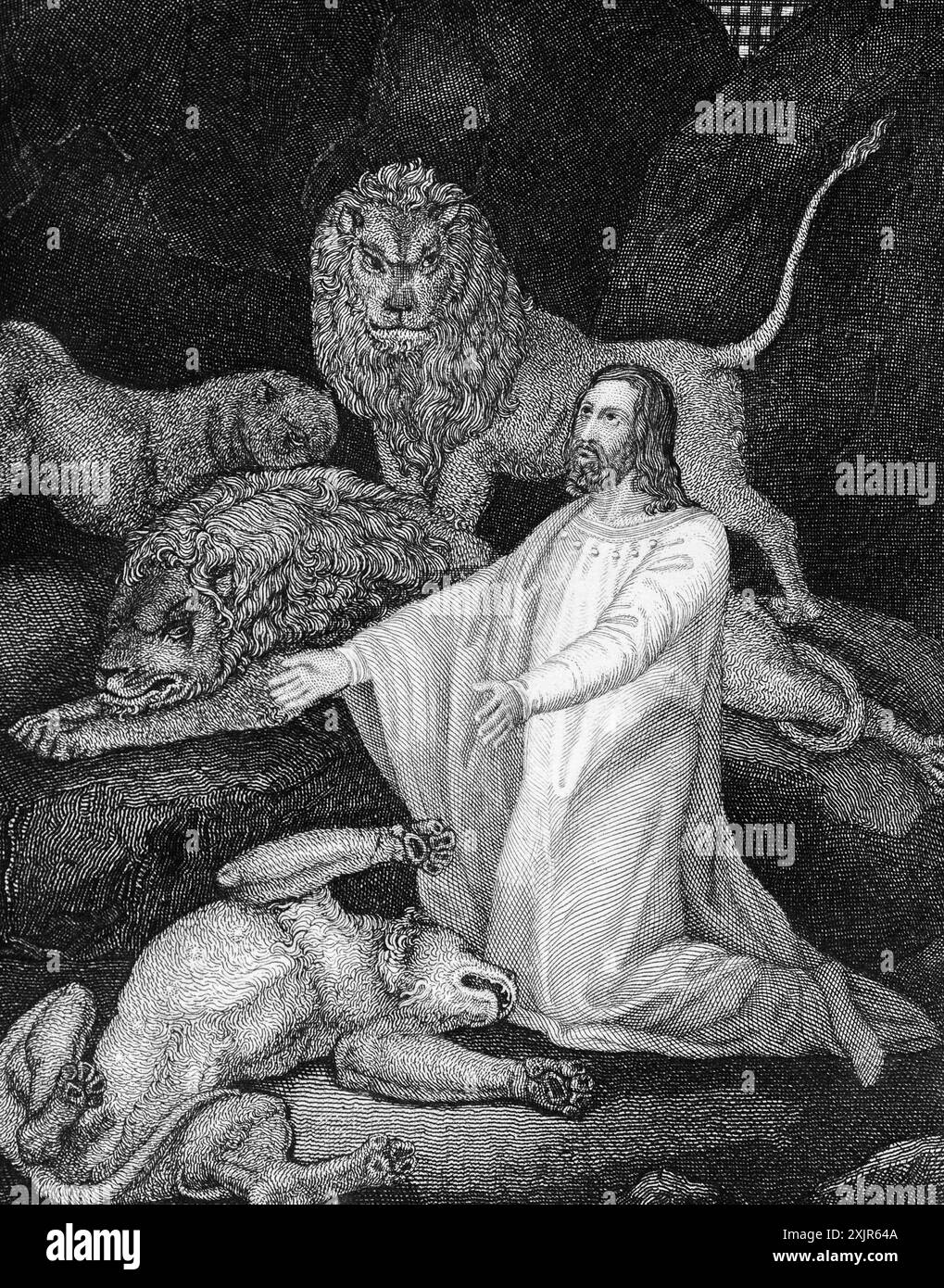 Daniel in the lions' den, king, God, angel, lions, Old Testament, Bible ...