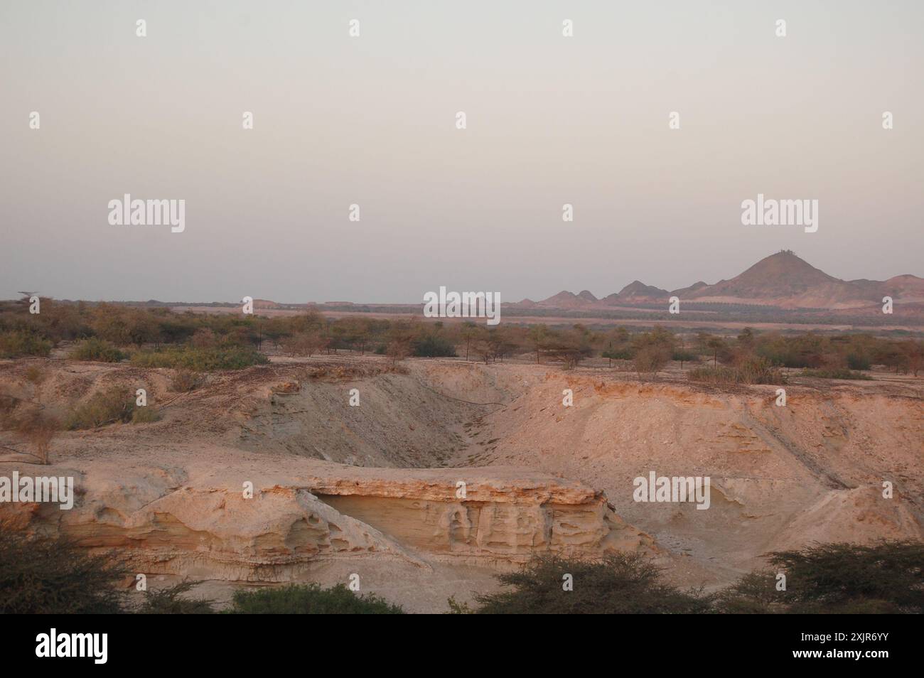 Textured landscapes during a spring sunrise on Sir Bani Yas Island, a ...