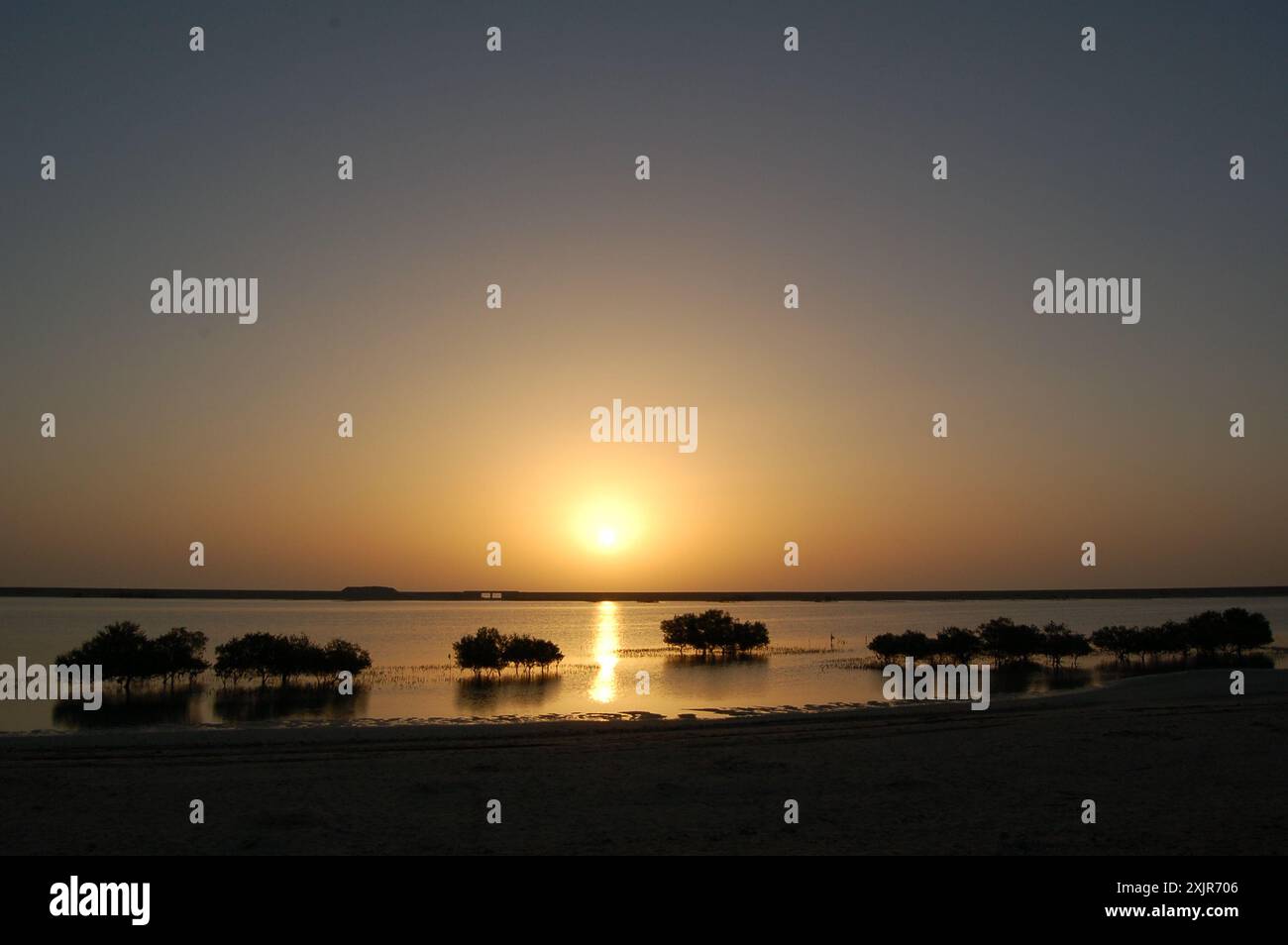 A blazing orange sunset over mangroves and the Arabian Gulf at Sir Bani ...