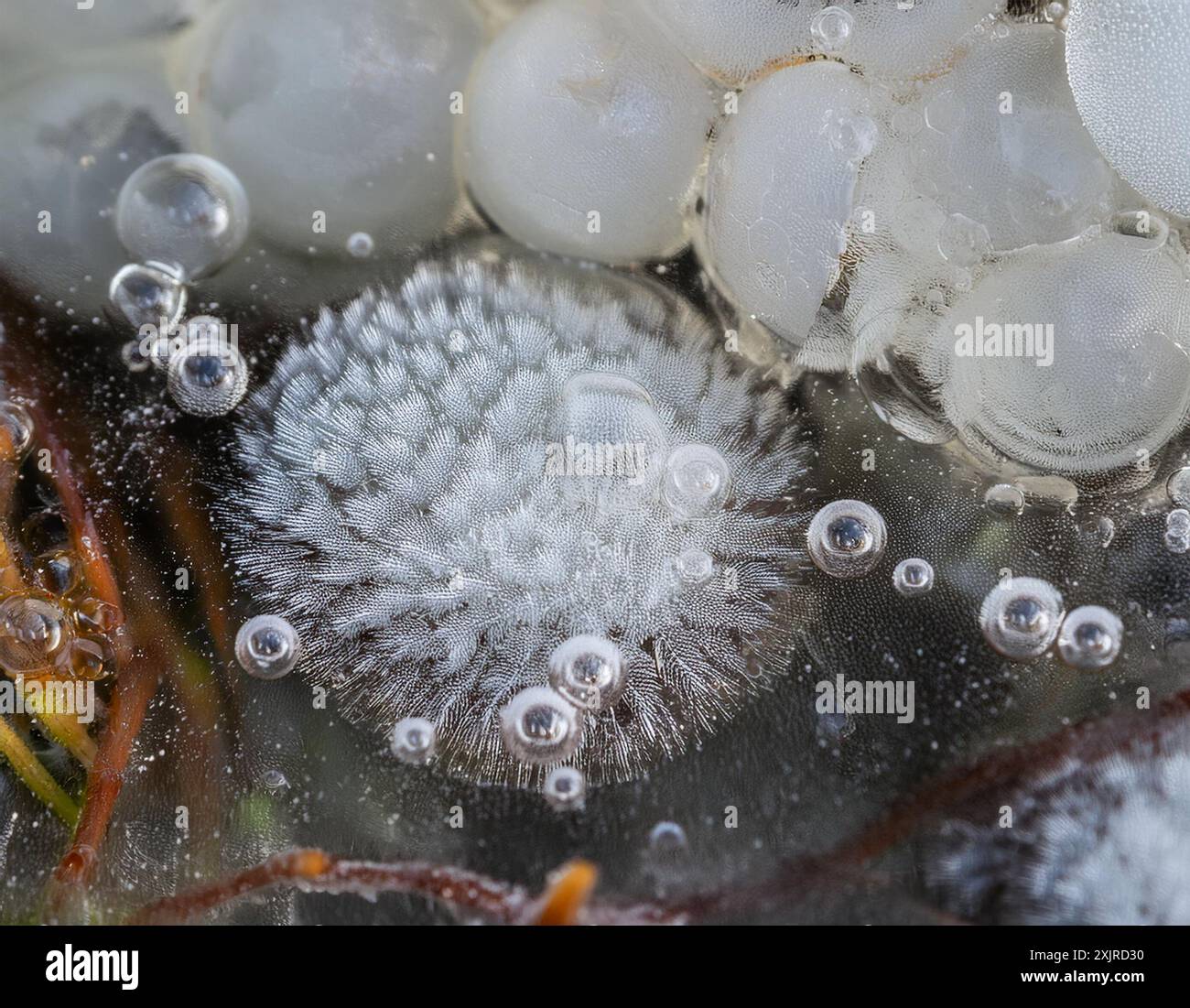 Trapped air hi-res stock photography and images - Alamy