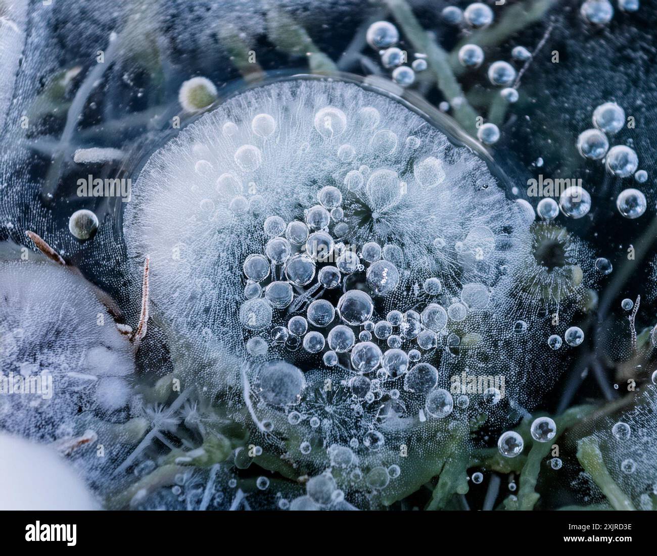 Close-up of a cluster of air bubbles trapped in ice concept Stock Photo ...