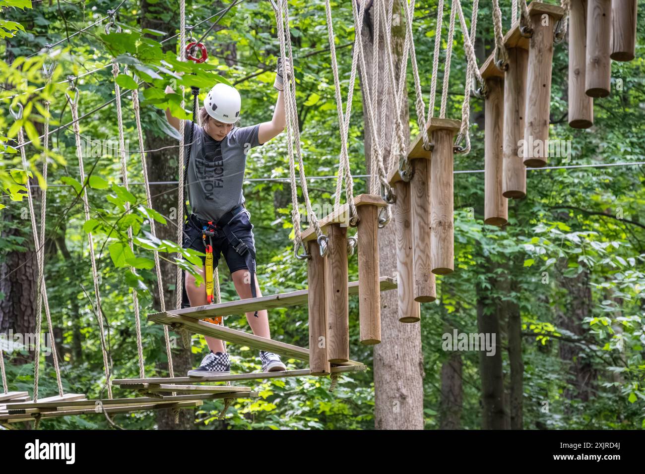 Navigating the Screaming Eagle Aerial Adventures high ropes and ...